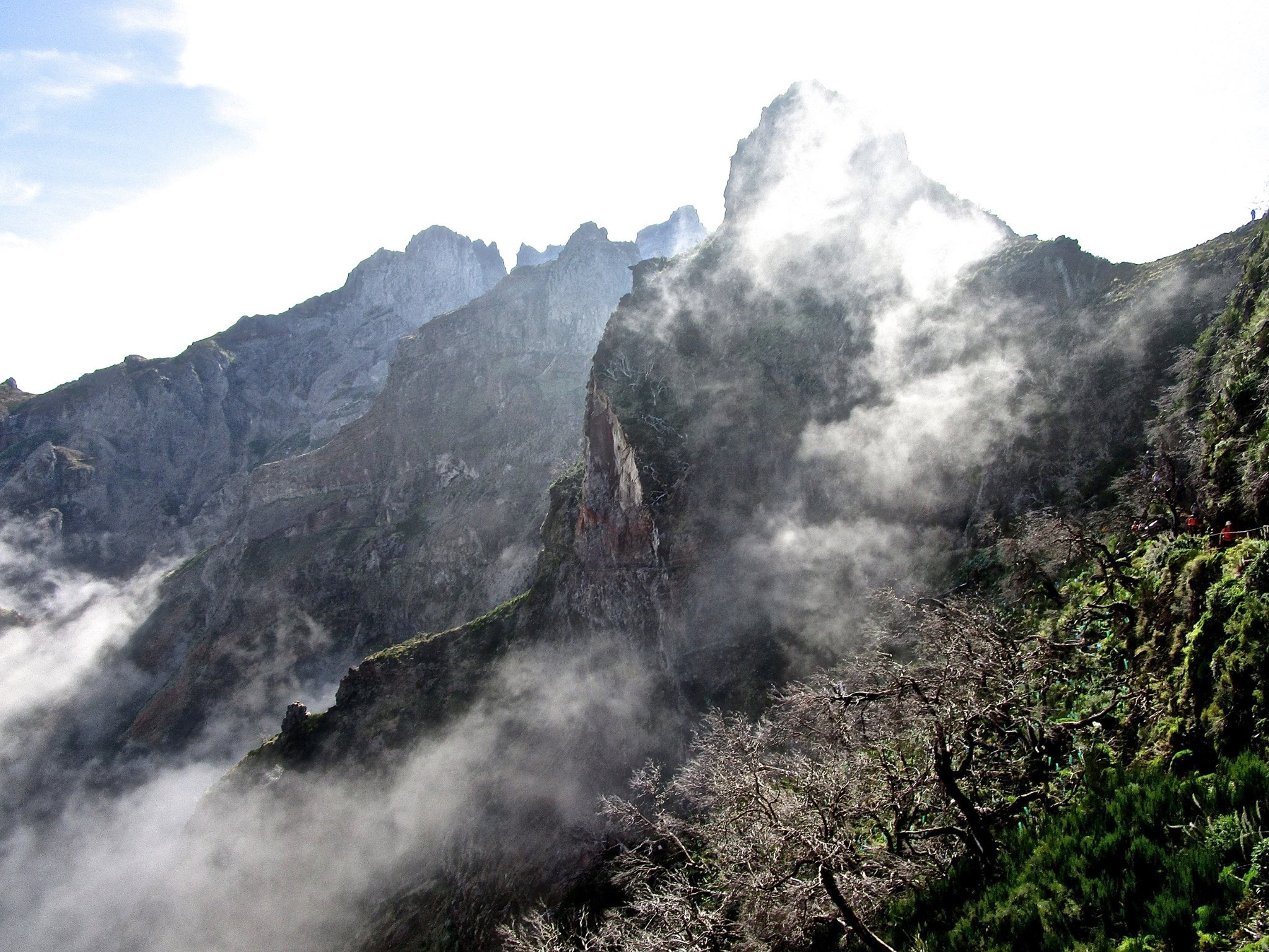 Course information | BIO343 - Climate Change and Conservation ...