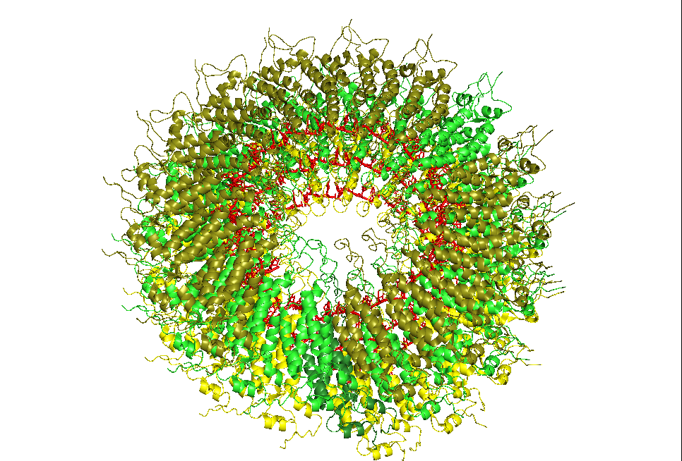 Course information | BIO367 - Protein Structure, Folding & Assemblies ...
